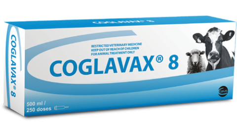 Home – Coglavax New Zealand